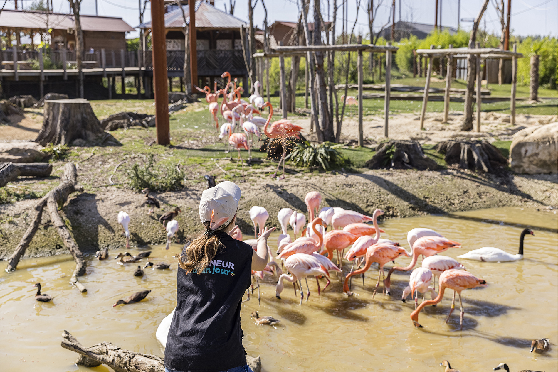 Parrot World : Zoo & Parc Animalier Immersif à 30 min de Paris