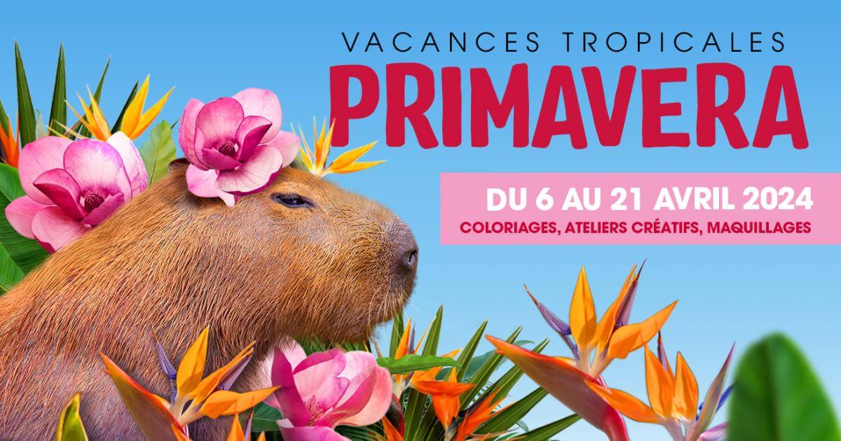 Primavera 2024 | Parrot World