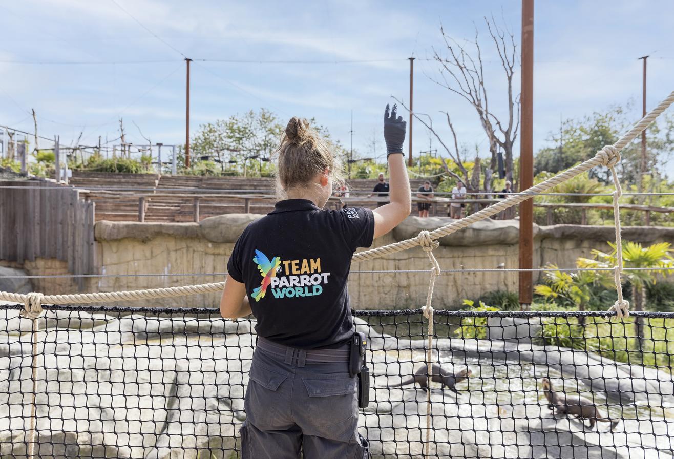 Missions & Enjeux I Parrot World